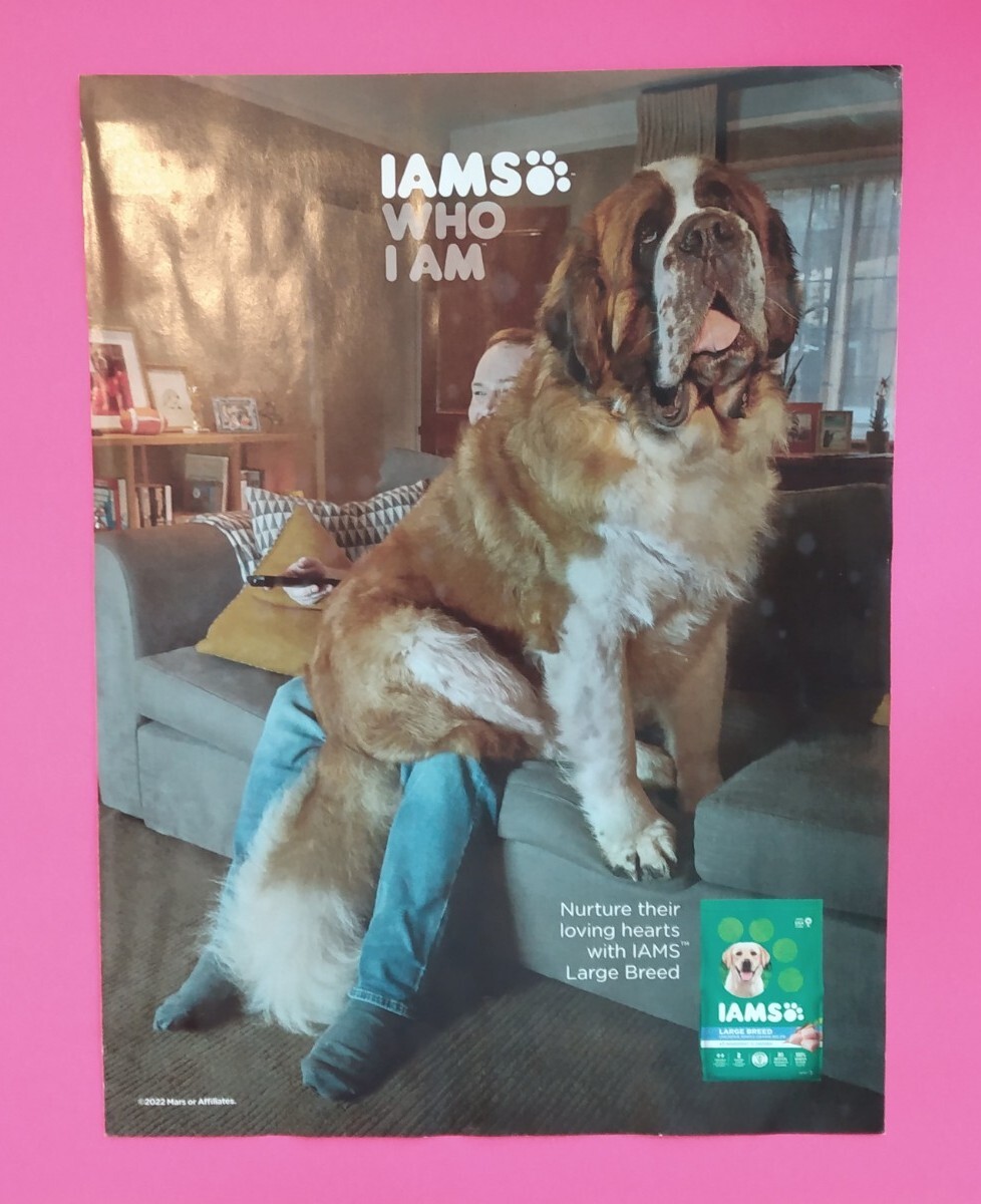 Iams Ad