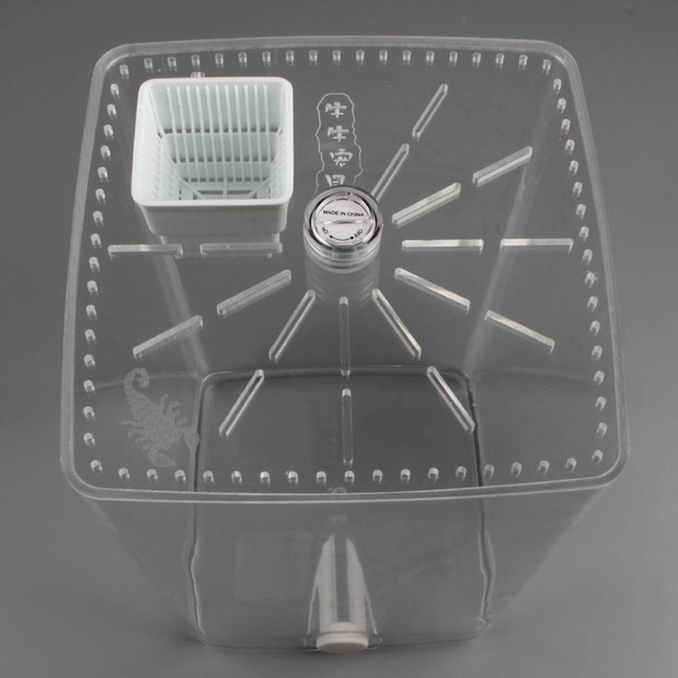 Large Acrylic Reptile Terrarium Gecko Lizard Spider Vivarium Enclosure ...