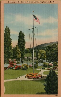 1953 Landscape View Corner of Sugar Maples Lawn Maplecrest NY Postcard ...