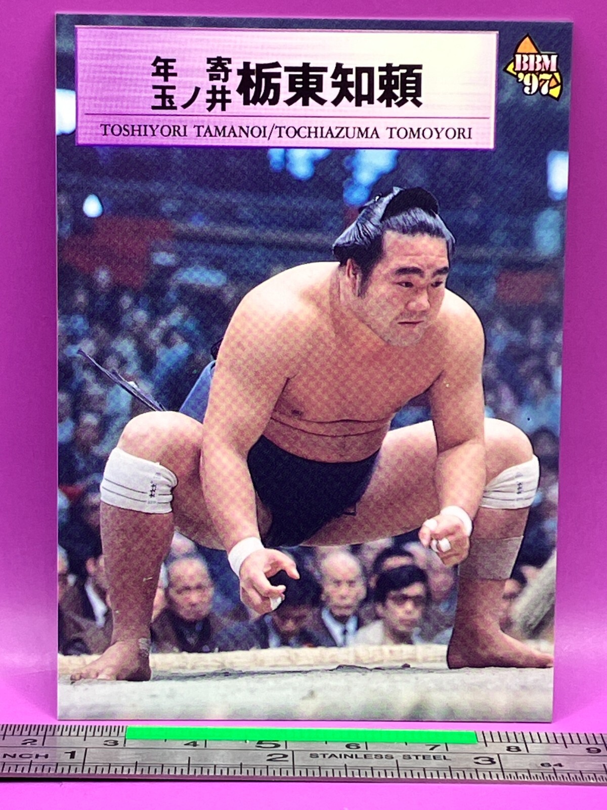 TOCHIAZUMA TOMOYORI Sumo Wrestler Trading Card BBM 1997 Rikishi TCG ...