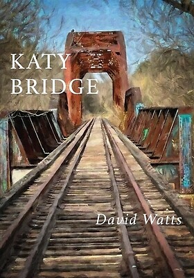 Katy Bridge Watts, David 9781955194228 | eBay