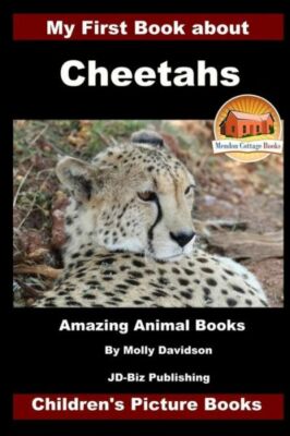 My First Book About Cheetahs - Amazing Animal Books - Children's ...