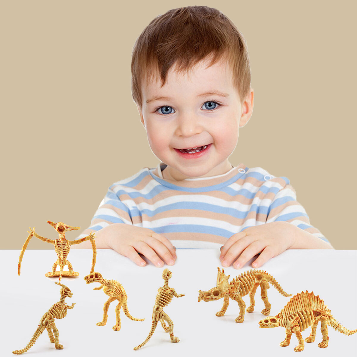 12Pcs Dinosaur Fossil Skeleton Assorted Dino Bones Skeleton Toy | eBay