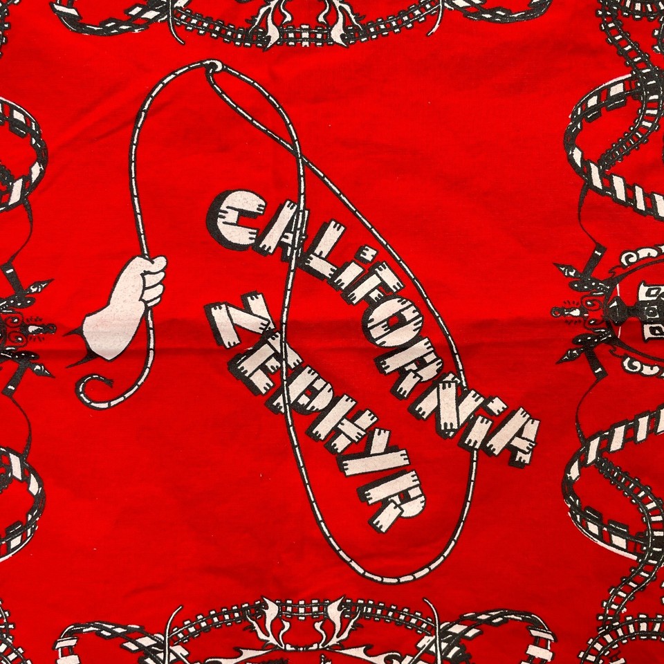 Vintage Amtrak Bandana Scarf Red California Railroad Zephyr Train ...
