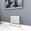 Vertical Horizontal Traditional 2 3 Column Radiator Cast Iron Style ...