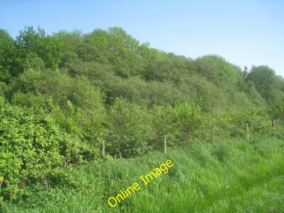 Photo 6x4 Lush vegetation by Greywell Mill Head c2012 | eBay UK