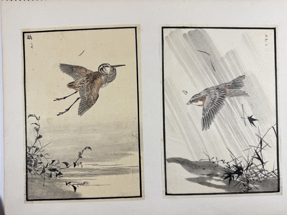 Japanese Drawing Book “Kachoshu” Picture of birds and flowers 49 ...
