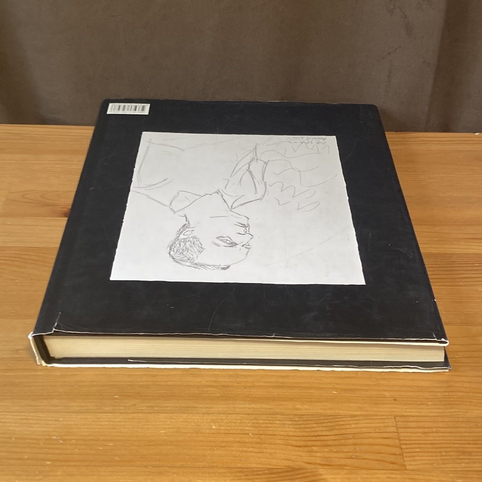 RARE 2011 Elizabeth Peyton GHOST Hatje Cantz Art Museum HC Book w/ Dust ...