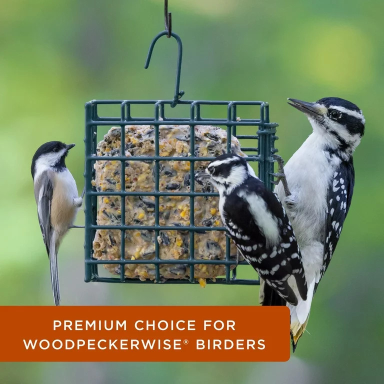 Woodpecker Food