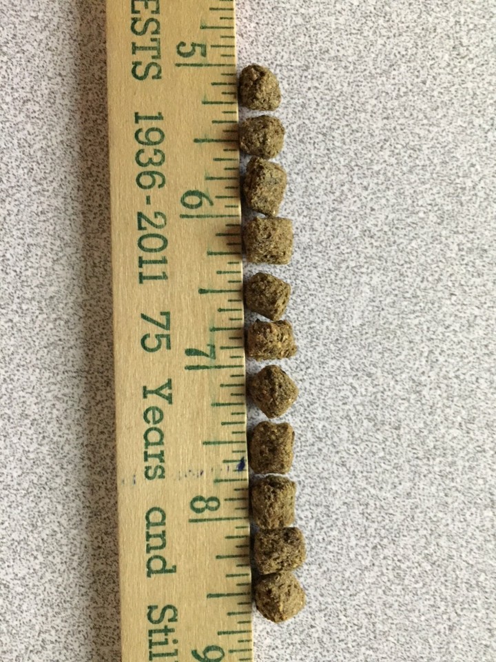 1-lb - 13-lb" BULK FLOATING PELLET FISH FOOD FOR KOI GOLDFISH - POND ...