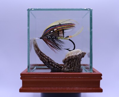 Flies - Fly Display