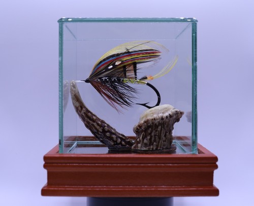 Delfur Fancy: Classic Atlantic Salmon Fly in Special Display | eBay