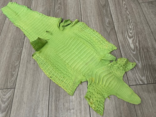 Green Genuine Caiman Crocodile belly Hide Leather Skin real alligator ...