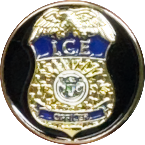 PBX-013-G ICE Officer Lapel Pin Immigration and Customs Enforcement | eBay