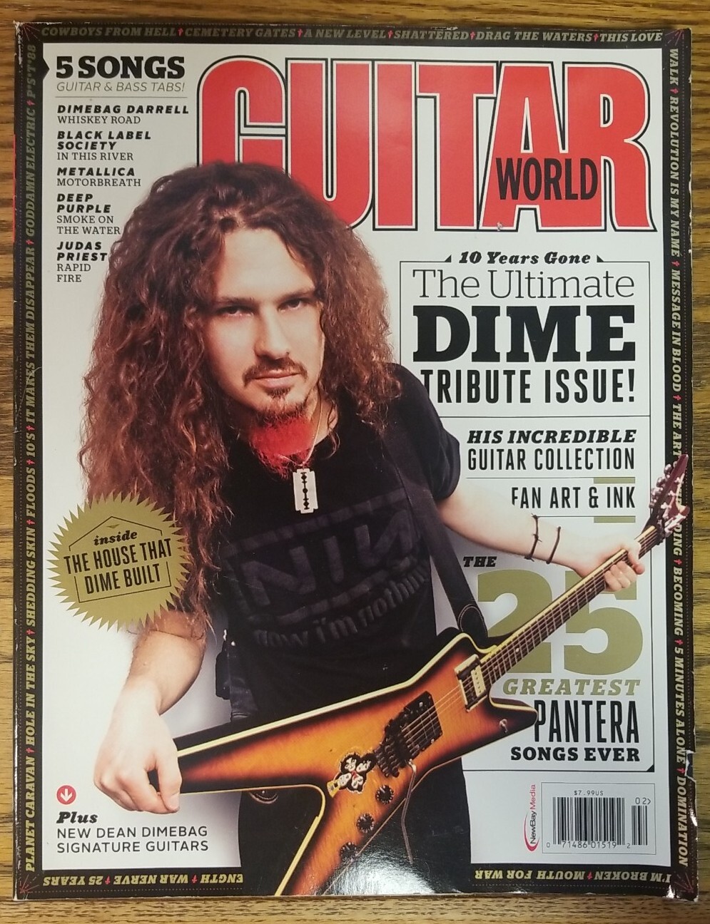 Dimebag Tribute Guitar