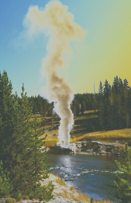 Geyser Yellowstone National Park Poster/Print High Quality | eBay
