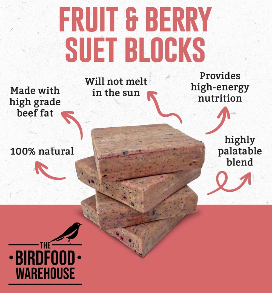 Fruit & Berry Suet Blocks, Natural Wild Bird Food, High Energy Fat ...