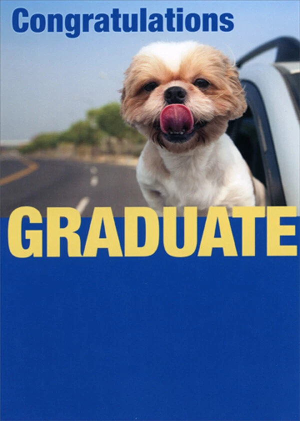 Congratulations Funny Dog