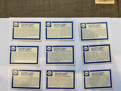 Shelll Picture Cards Australian Beetles Trade cards - collection of 9 ...