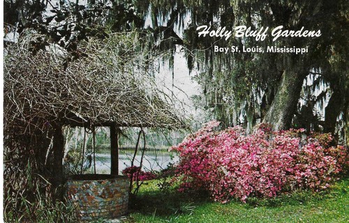 Vintage Holly Bluff Gardens, Bay St. Louis, Mississippi | eBay