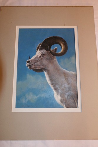ORIGINAL PAINTING MOUNTAIN DALL SHEEP GOAT RAM ARTIST DAVID B THATCHER ...