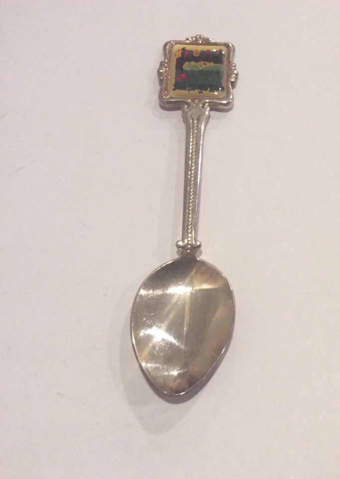 San Diego Zoo Hippo Beach Collectable Spoon | eBay
