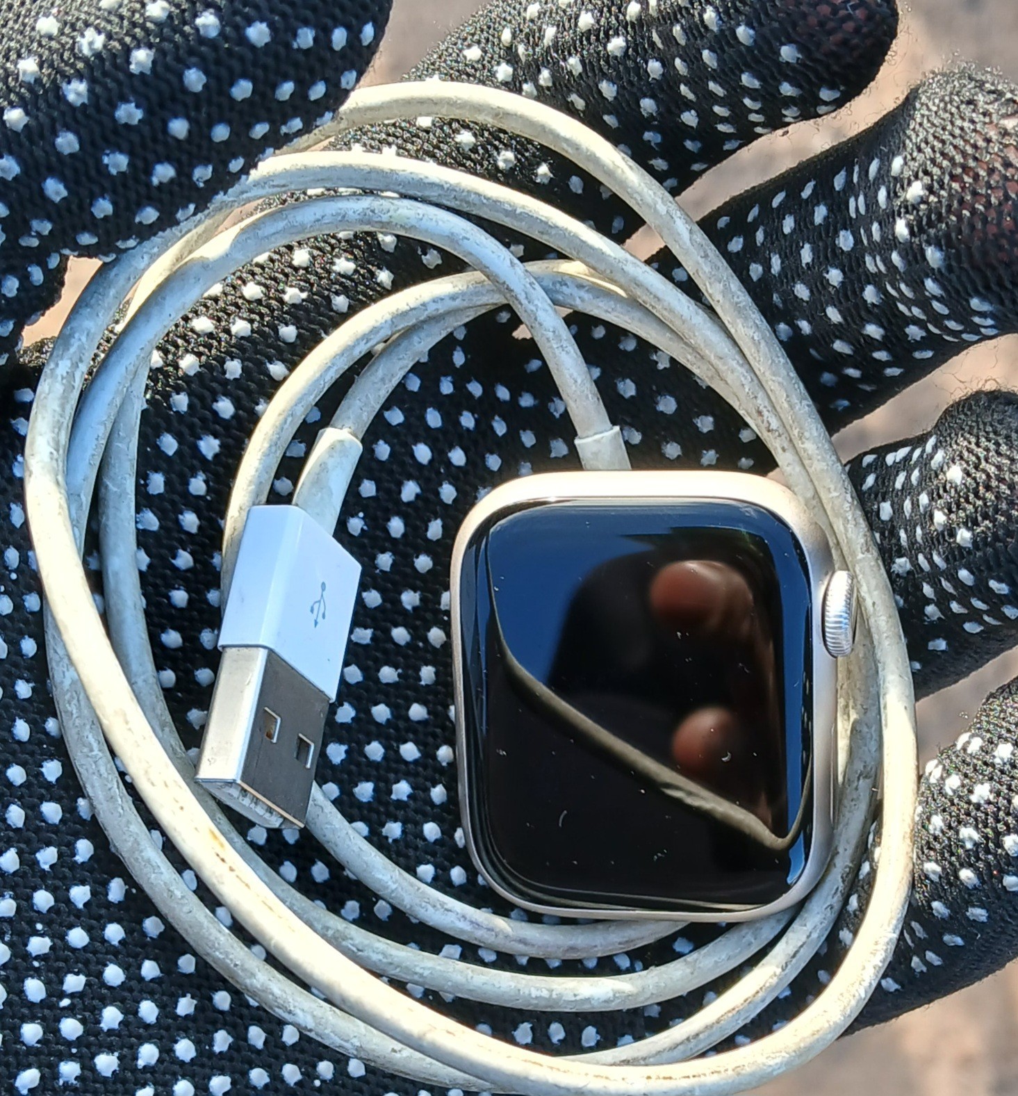 Apple Watch Series 8 GPS Cellular 41mm Starlight Aluminum Case Sport ...