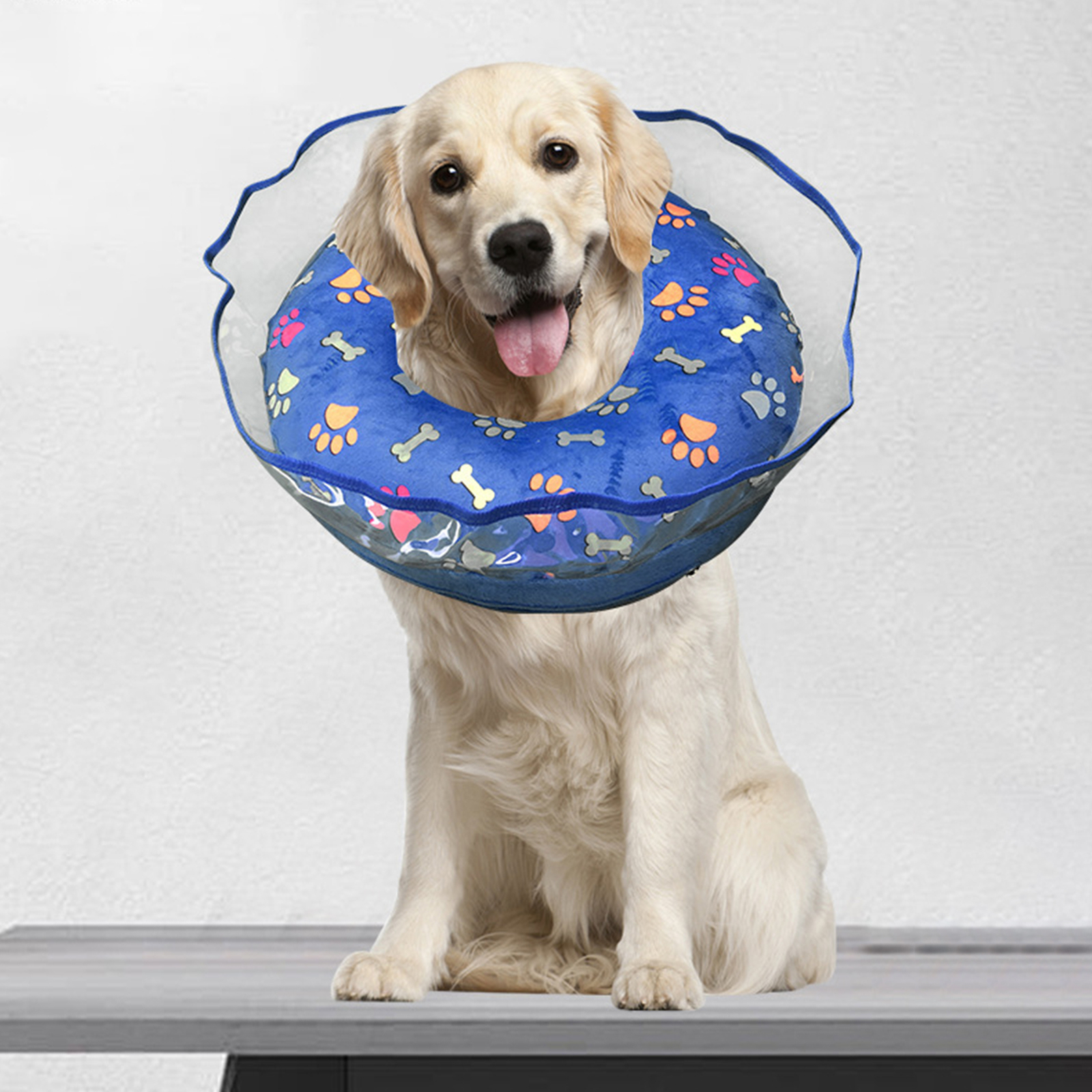 Dog Cone Breathable Prevent Bite After Surgery Medium Large Dog ...