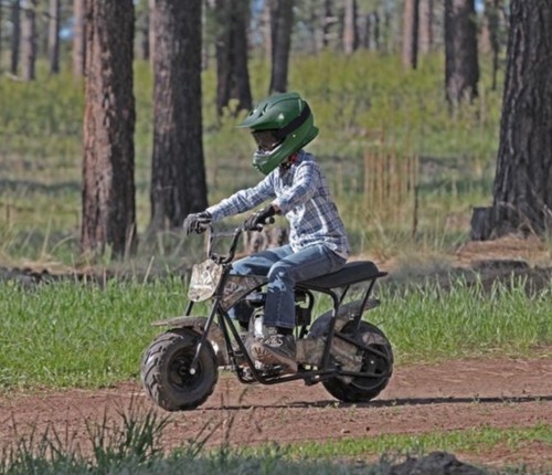 The Realtree RT100 105cc Gas Powered Mini Bike reinvents the classic ...