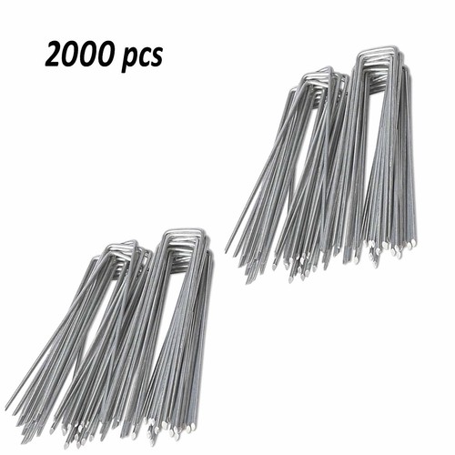 2000 Pack 6" 11 Gauge Galvanized Staples – Landscape Pins for Heavy ...