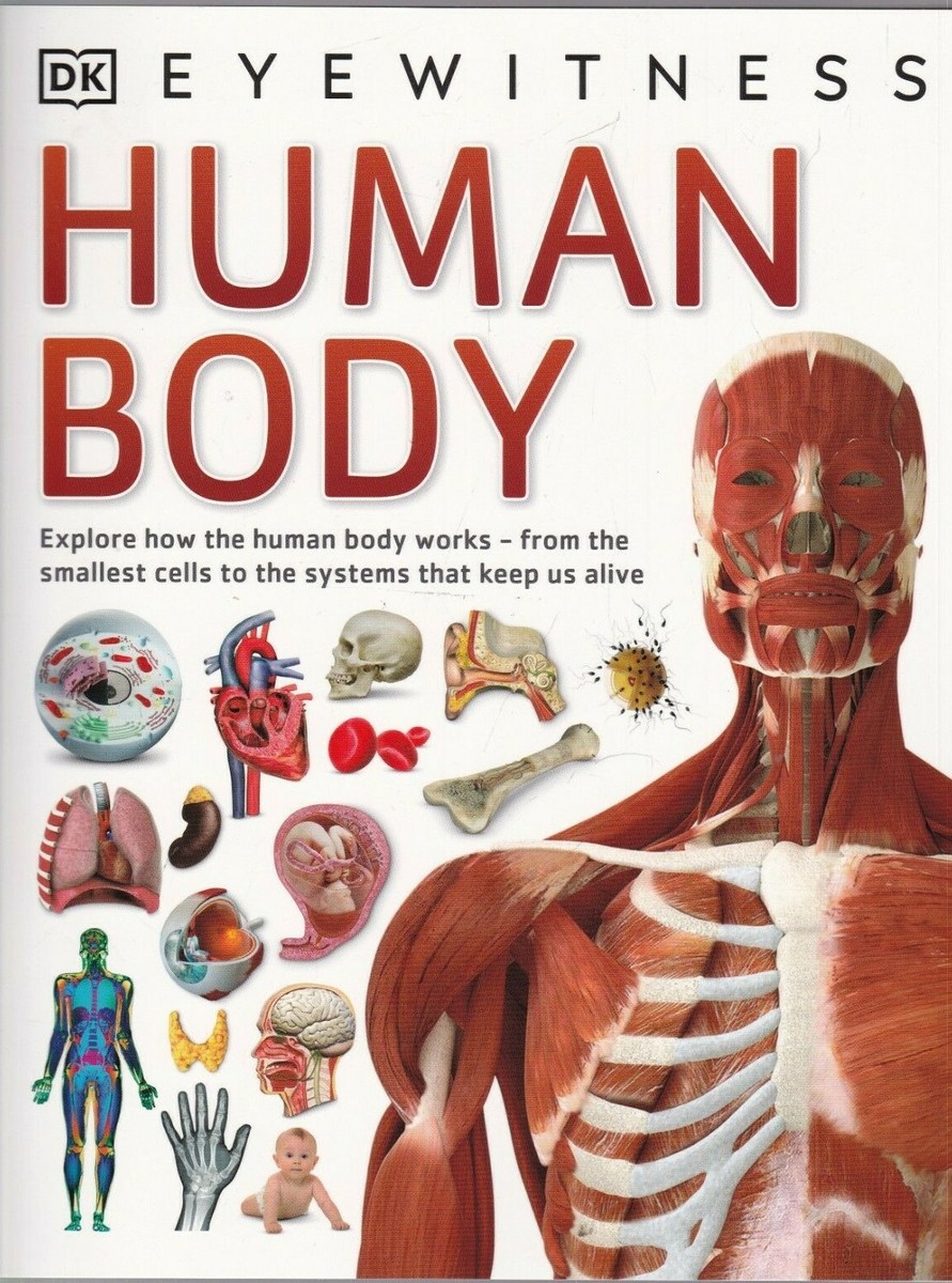 Human Body Works Human Body | GeeksforGeeks