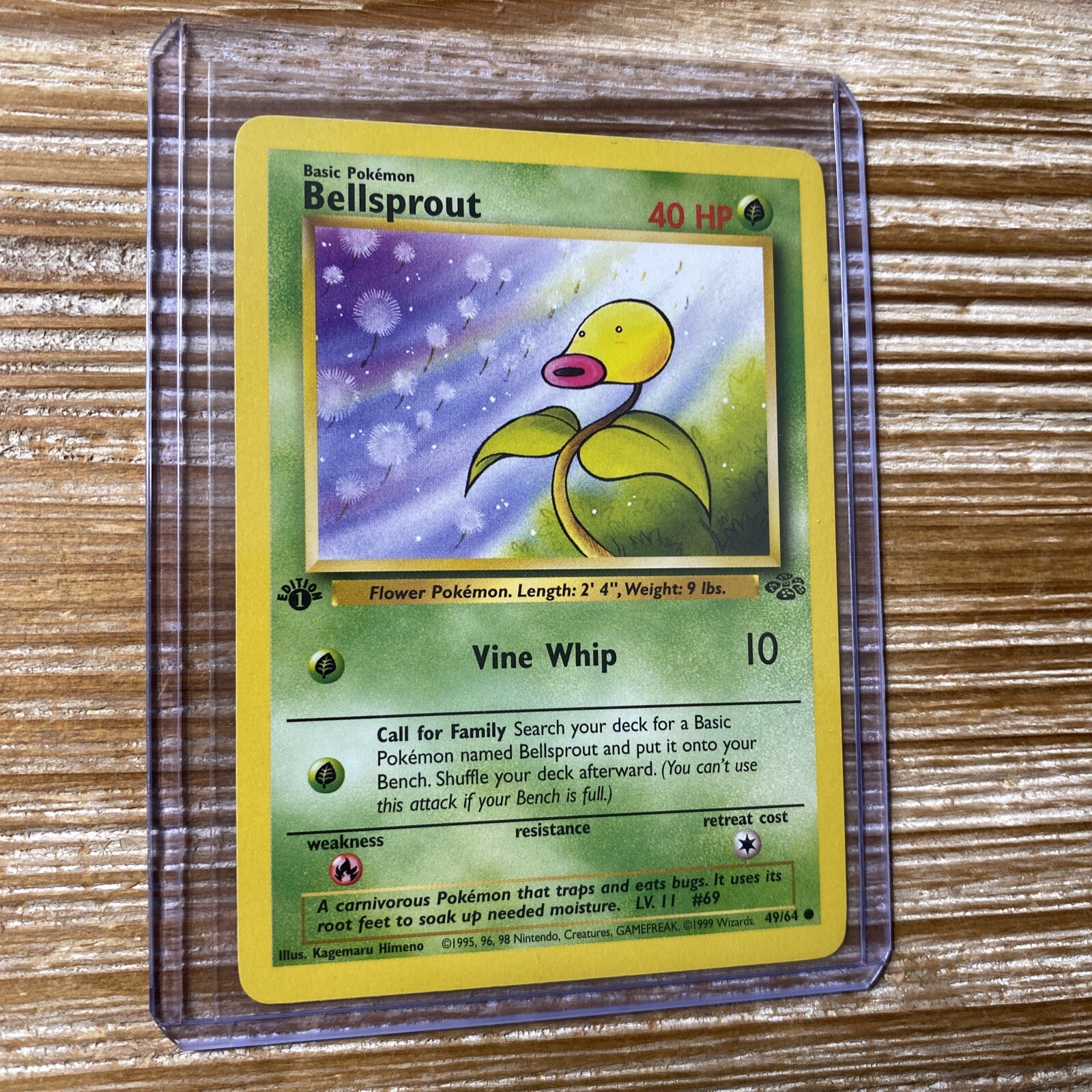 Bellsprout 49/64 Jungle 1st Edition WOTC Pokemon Card LP-NM | eBay