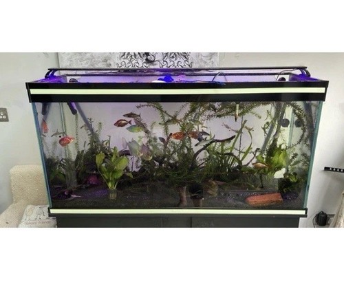 4ft Fish tank Aquarium And Stand With All Accessories | eBay UK