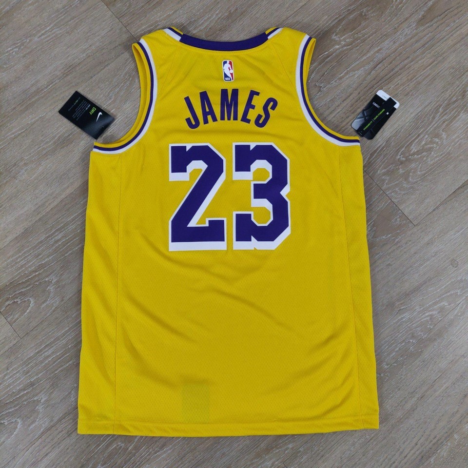 NWT Lebron James Lakers Nike Authentic Icon size 44 jersey mens gold ...