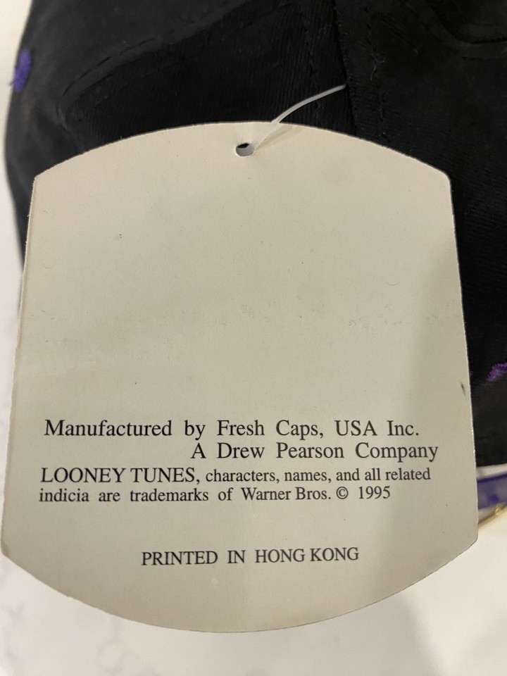 Vintage 1995 Taz Hat Fresh Caps Looney Tunes Taz Tasmanian Devil ...
