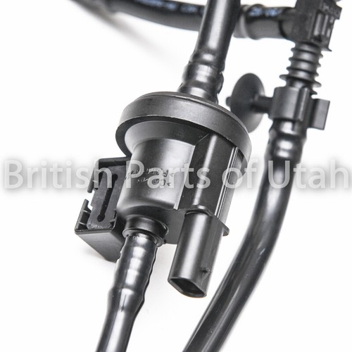 Land Rover LR2 Purge Valve Hose Pipe Fuel Vapor Genuine OEM 2013~2015 ...