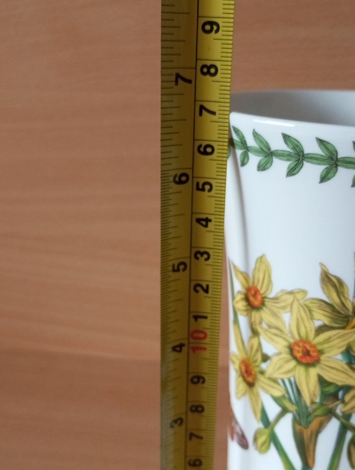 Portmeirion The Botanic Garden Narcissus Minimus Small Narcissus Latte ...