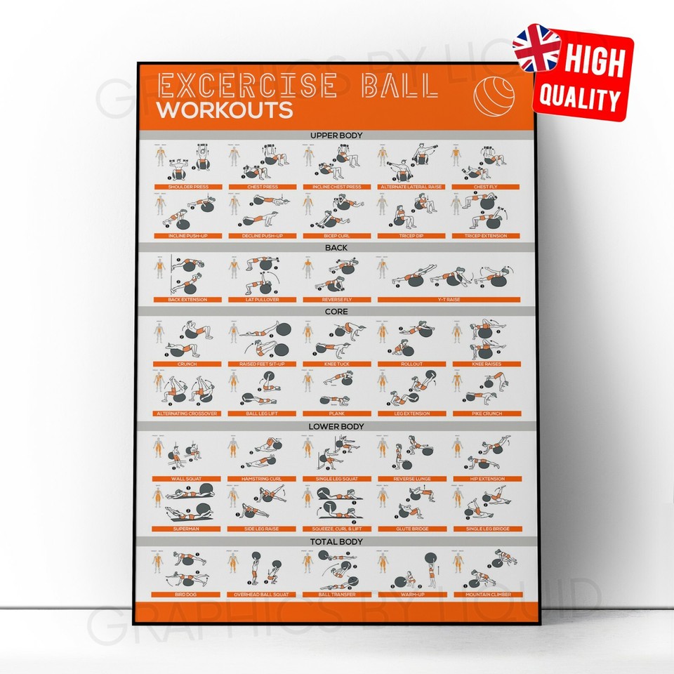 GYM WORKOUT POSTERS Exercises Dumbbell Barbell Kettlebell Cable Machine ...