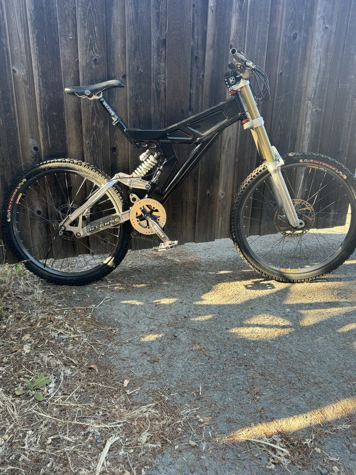 Intense M1 SL Vintage Rare MTB Downhill Frame And Fork Large PROJECT | eBay