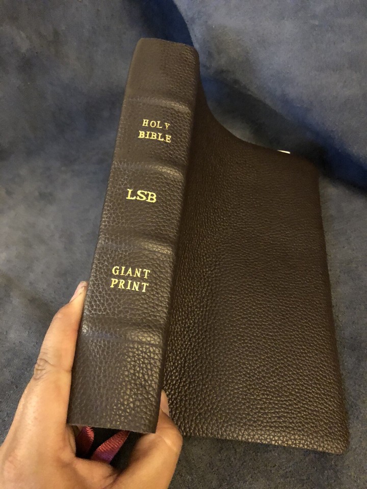 LSB LEGACY STANDARD Bible Giant Print No Markings Cowhide Leather ...
