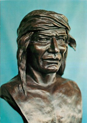 Postcard Bust of Cochise, Cochise Visitor Center, Wilcox, Arizona | eBay