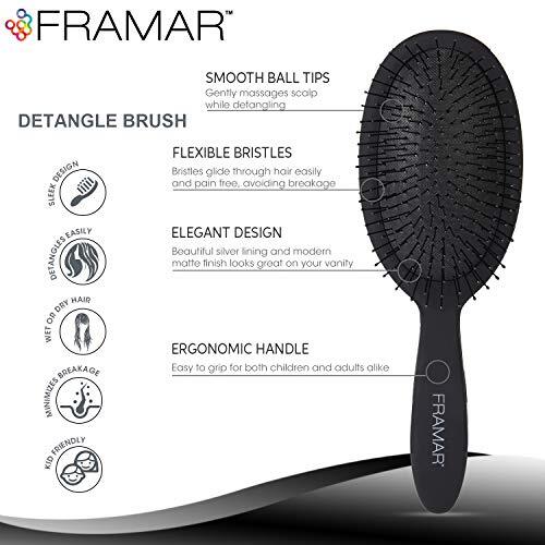 Framar Detangling Hair Brush - No More Tangles Hairbrush - Elegant Detangler | eBay