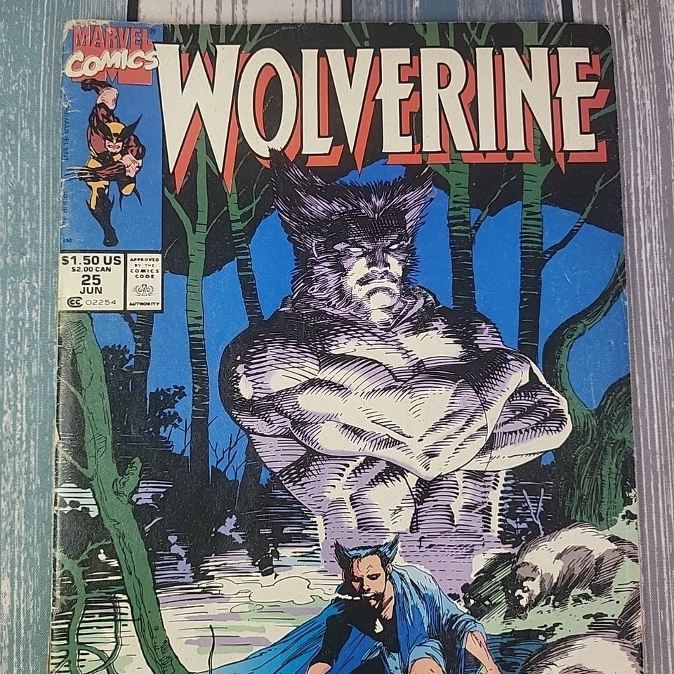 WOLVERINE #25 X-MEN, June, HIGH GRADE Jim Lee MARVEL Ft: Young Logan / Wolverine | eBay