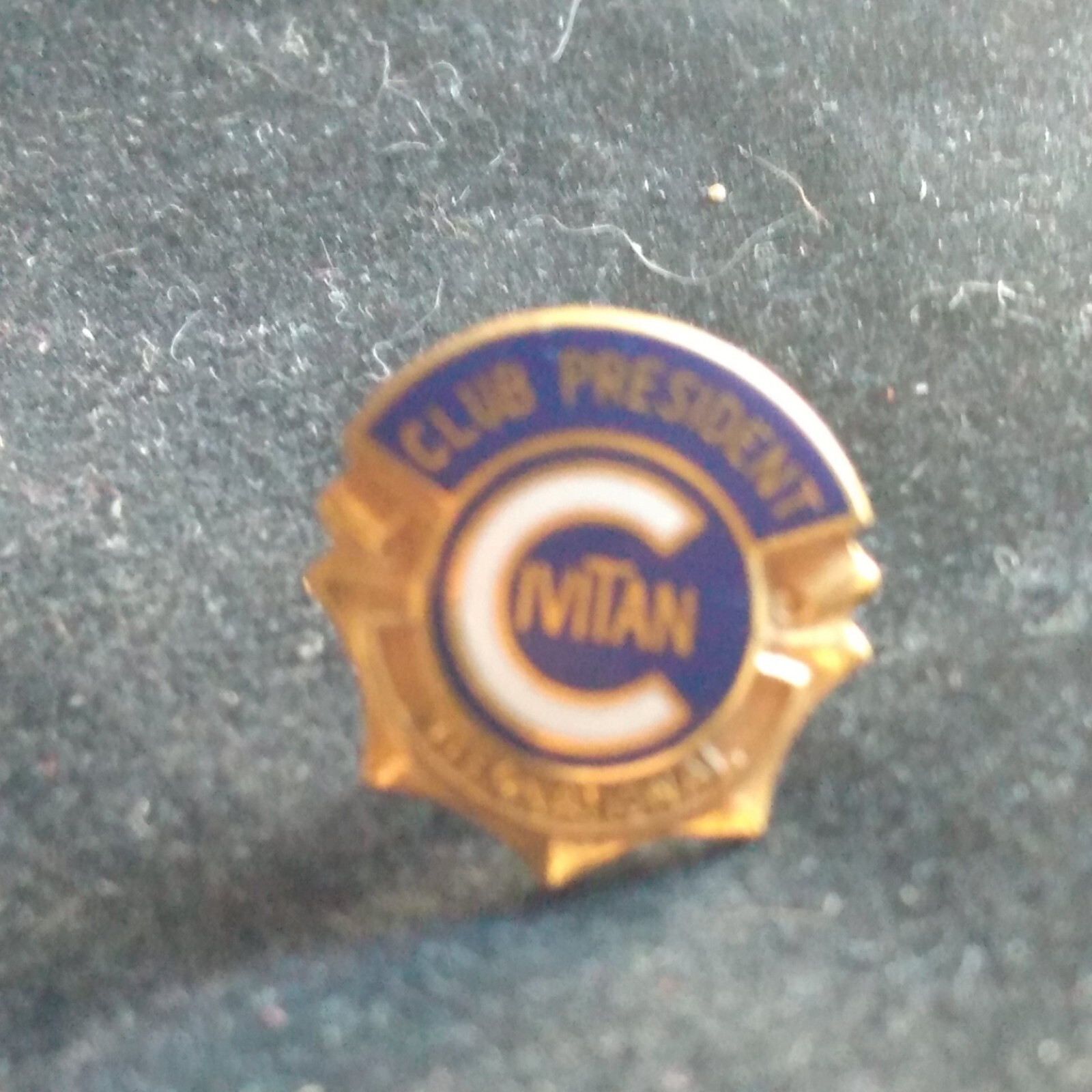 Civitan International Club President Pin 2-Piece 10K Gold Screw Back | eBay