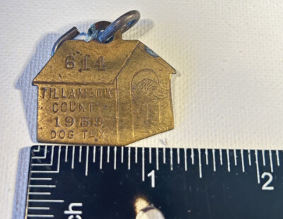 1959 OREGON DOG LICENSE Brass Tag Dog House Tillamook County | eBay