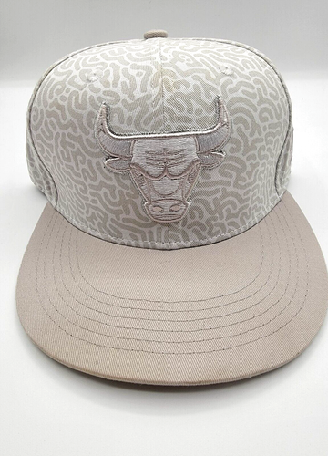 CHICAGO BULLS BMO Melonwear White Gray Snapback Hat Artist Series 2018/ ...