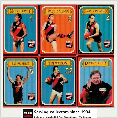 1993 Essendon AFL Premiership Collectable Metal Card Tin Set(21 Metal ...