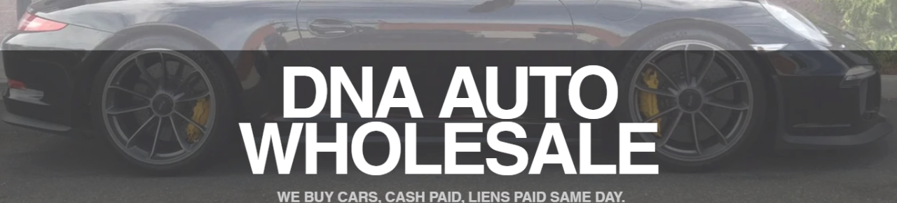 DNA Auto Wholesale | eBay Stores