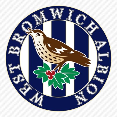 WEST BROMWICH ALBION FC Badges | eBay UK