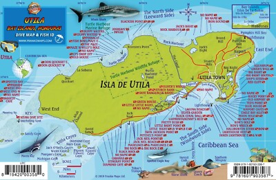 Utila Dive Map & Reef Creatures Guide Waterproof Fish Card by Franko ...